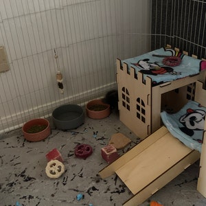 Gideons Hideout Cardboard House for Rabbits Hideout and Chew - Etsy