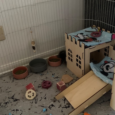 Gideons Hideout Cardboard House for Rabbits Hideout and Chew - Etsy