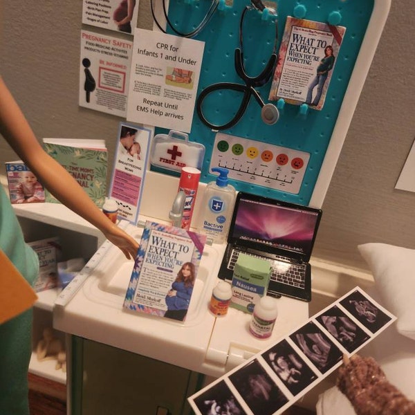 1/12 Scale Laminated Set of Mini Dollhouse Study Sheets for Miniature ...