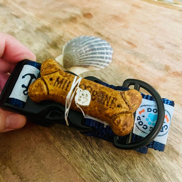 Cape Cod Dog Collars - Etsy