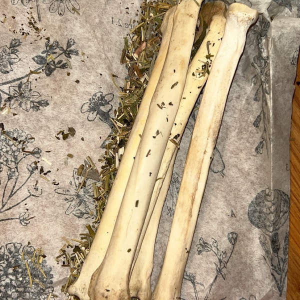 Osteomancy Bone Throwing Set With Over 25 Pieces - Etsy