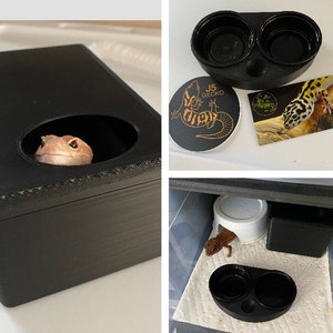 Leopard Gecko Moist Hide / Lay Box - Etsy