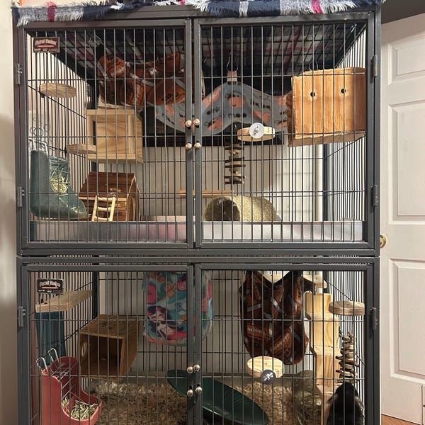 Crazy Critter 11 Pc Kiln Dried Pine Chinchilla//rat//degu//squirrel ...