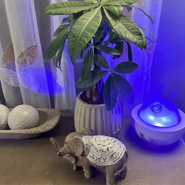 Luna | Glass Dome & White Speckled Concrete Diffuser | Essential Oil ...
