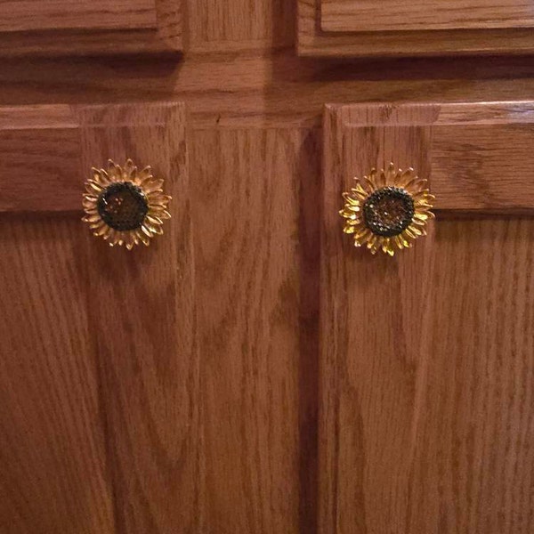 Bronze Spider Drawer Knobs / Spider Cabinet / Gothic Home Decor ...