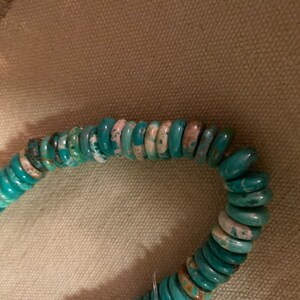 Large Rainbow Shell Troca Spiral Moonlight Conch Shells - Etsy