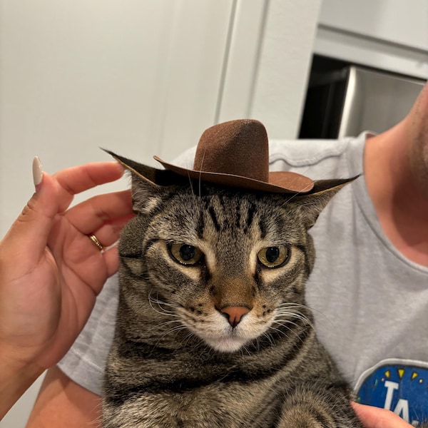 Trooper Cat Hat for Your Cat, Ranger Hat for Your Cat - Etsy