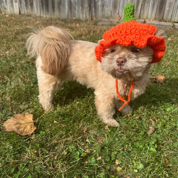 Santa Ruffle Dog Hat Crochet PATTERN - Etsy