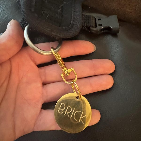 Personalized Gold Dog Tag Custom Engraved ID for Dogs Microchip ...