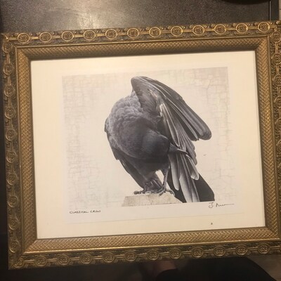 Raven Peace A Single Raven in the Top of a Tree Signed Fine - Etsy