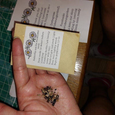 Yellow Elder Seeds Tecoma Stans 30 - Etsy