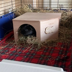 New Double Entrance Guinea Pig Corner Shelter fully Assembled - Etsy UK