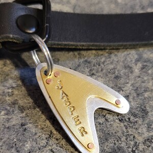 Star Trek Picard Number 1 Pet Tag - Etsy
