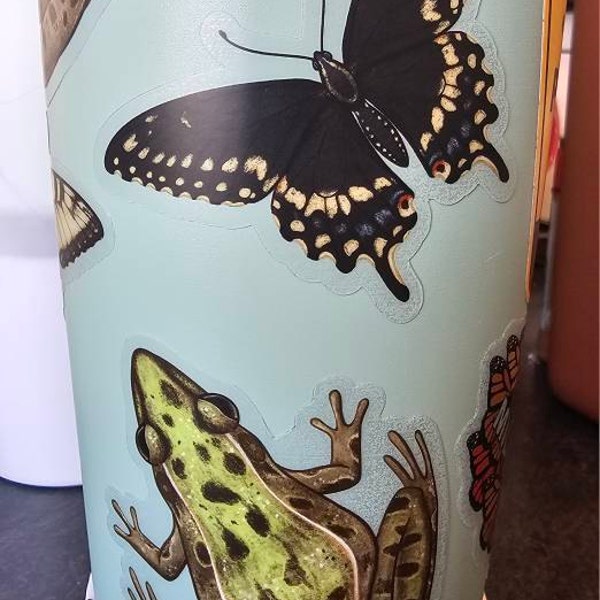 Leopard Frog Clear Vinyl Sticker | 3 X 2.6 Inches | Transparent ...