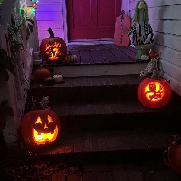 17” Baby Porch Goose Pose-able Wings Arms for Porch Goose 17” | Porch ...