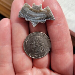 Agate Slice occo Geode Agate Slices Highest Special A Quality | Etsy