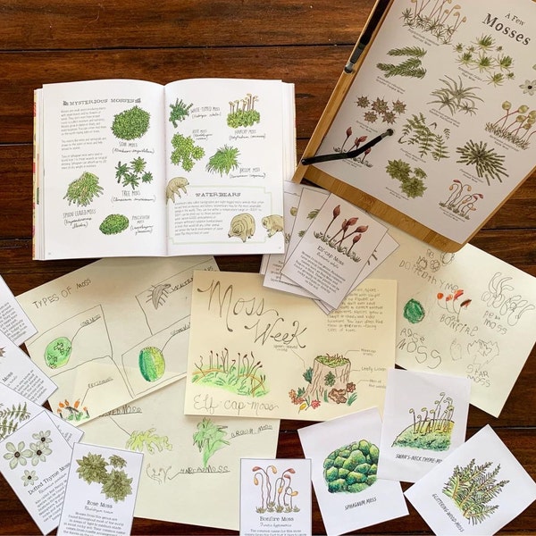 Lichens & Mosses Digital Bundle - Digital Print + Learning Cards ...
