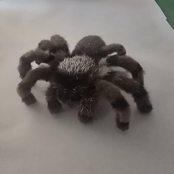 Realistic Tarantula Spider, Poseable Shelf Decor, Wall Mountable Faux ...