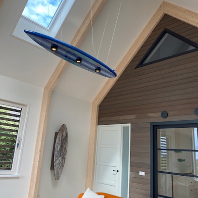 Handcrafted Unique Orca Ceiling Chandelier: Led Wall Lamp for - Etsy