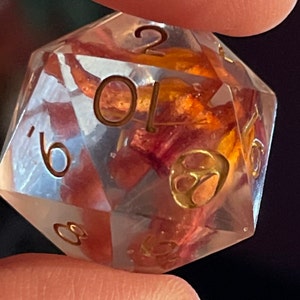 Forest Floor REAL PLANTS Dice Set for Dungeons and Dragons Tabletop RPG ...