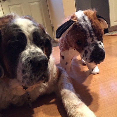 Mabari War Hound From Dragon Age. Plush Dog Created With Quality Minky ...