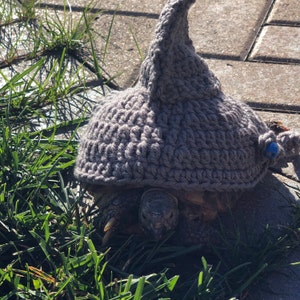 Tortoise Shark Sweater - Etsy