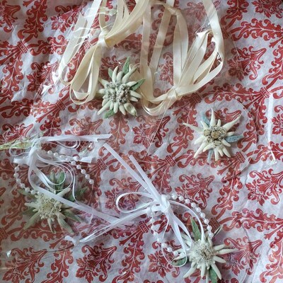 REAL Dried Flower Edelweiss Blossom Gift Ornament 3heart Shaped ...