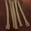 Osteomancy Bone Throwing Set With Over 25 Pieces - Etsy