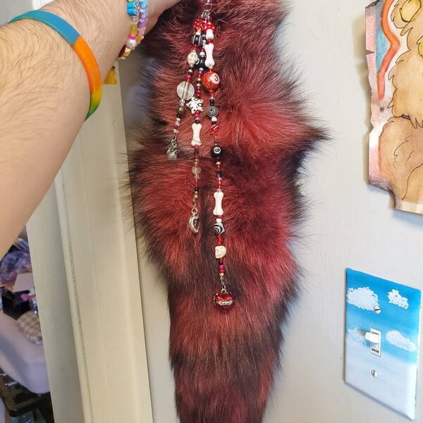 North American Theriotypes Sticker Sheet! Therians Nature Stickers - Etsy