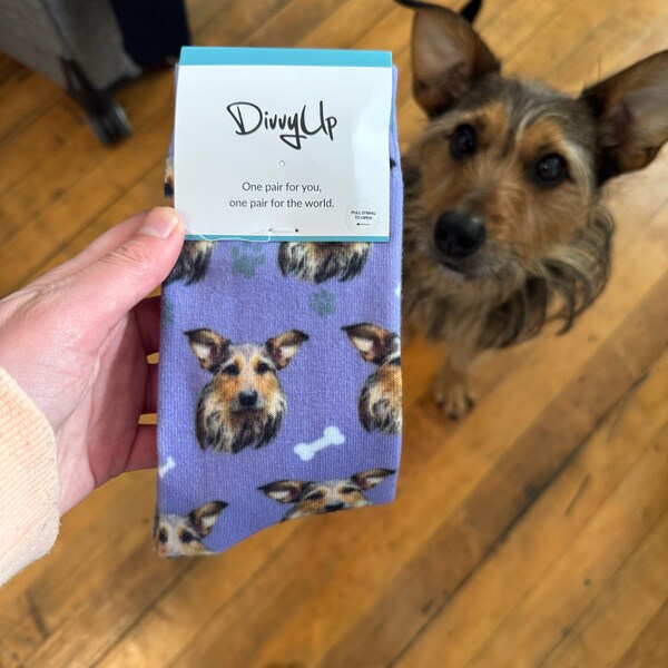 Divvyup Socks - Vacation Santa Socks - Etsy