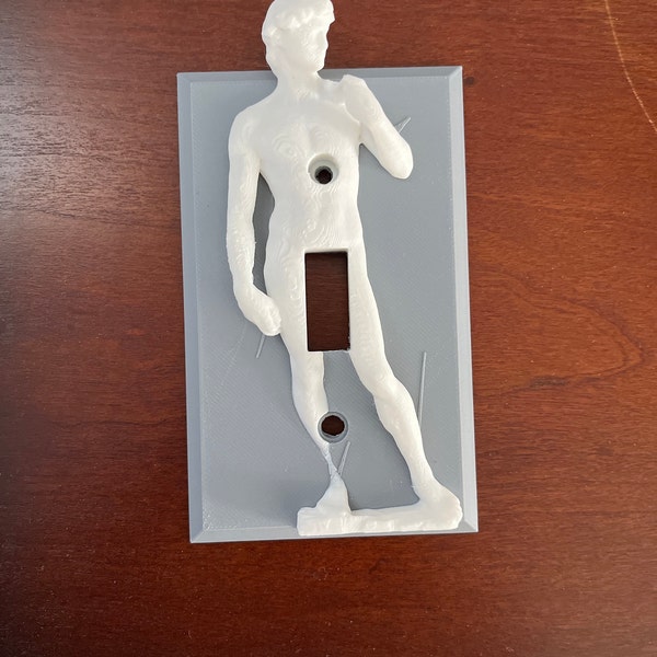 Michelangelo's David Light Switch Cover: 3D Sculpture, Sophisticated ...