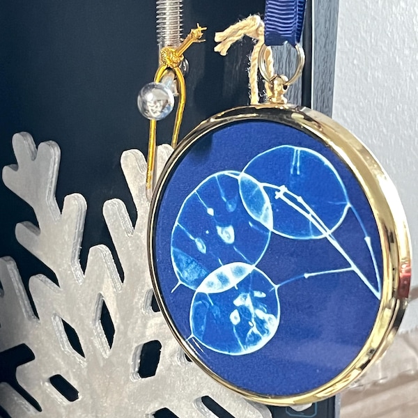 Cyanolumen Ammi Visnaga Botanical Original Art 12x10 Mounted - Etsy