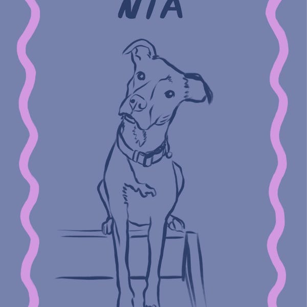 Custom Dog Portrait Custom Badly Drawn Pet Art Personalized Badly Drawn ...