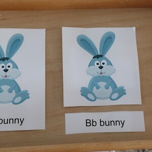 ARCTIC ANIMALS 20 Editable Montessori Cards Flash Cards - Etsy