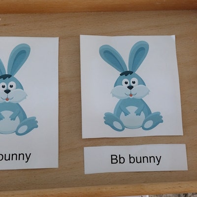 ANIMAL ALPHABET 26 Montessori Cards Flash Cards Nomenclature Flashcards ...