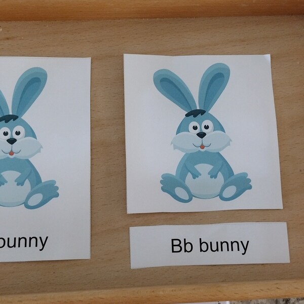 ANIMAL ALPHABET • 26 Montessori Cards • Flash Cards Nomenclature ...