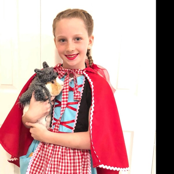 Little Red Riding Hood Costume, Fairy Tale Apron, Retro Apron, Dress up ...