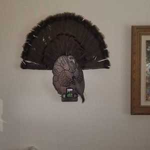 Custom Turkey Plaque Tail Mount, Personalized, Unique Fan, Beard, and ...