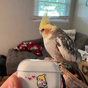 Bird Mochi Poster - Etsy