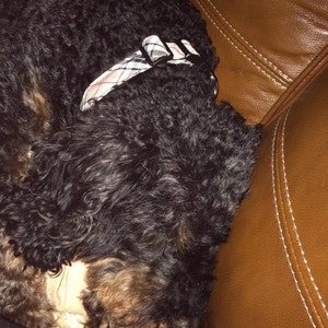 Camel Check Fleece Lined Dog Harness. | Etsy UK