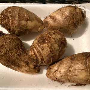 African Yam Tubers, Ghana White Yams, White Name Roots, Nayga Yam, Name ...