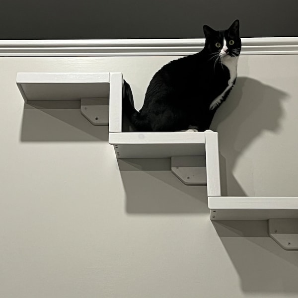 Floating Cat Stairs | Floating Cat Bed | Cat Perch | Cat Furniture - Etsy