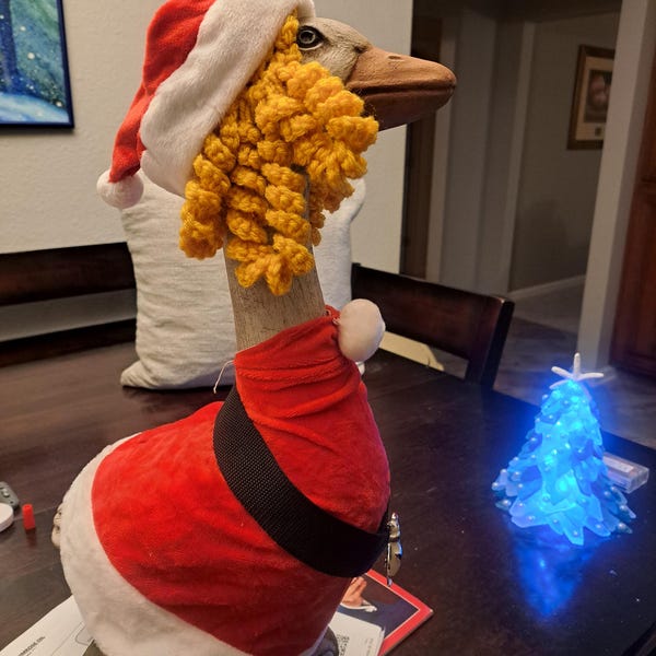 Set of Three Wigs for Porch Goose - Etsy