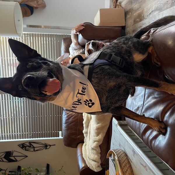 I Do Too We Do Too Wedding Tie-on Dog Bandana | Wedding Dog Bandana ...