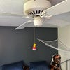 My Little Pony Ceiling Fan/light Pull Chains Rainbow Dash, Fluttershy ...