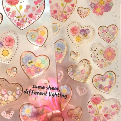 Pretty Seashell Sea Bottle Sticker Fancy Pearl Shell Ocean Oyster Shell ...