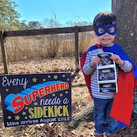 Calendar Months Cards Owl Polka Dot Hobo Stitched Theme Dotted Bright ...