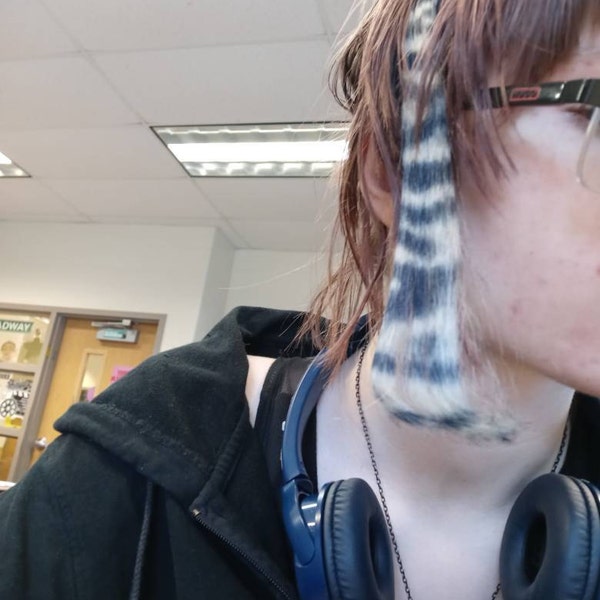 Zebra Tiger Stripe Clip in 18 Inch Hand Made Hair Extension 12 Colours ...