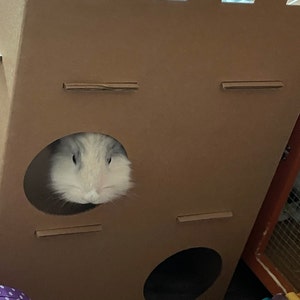 The Castle Corrugated Cardboard Castle for Bunny Rabbits & | Etsy UK