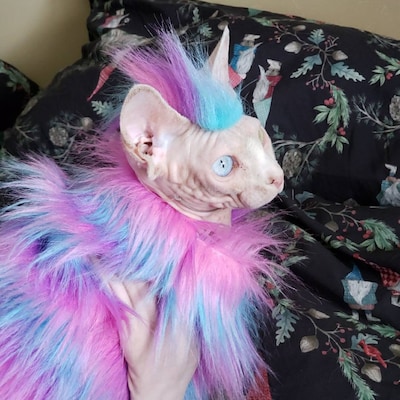Cat Mohawk - Etsy